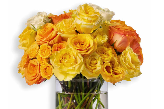 The Meaning of Flowers - July – Bouquet Box